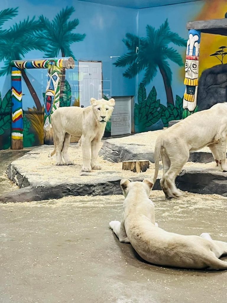 Réservation hôtel - Complexe Atlantide